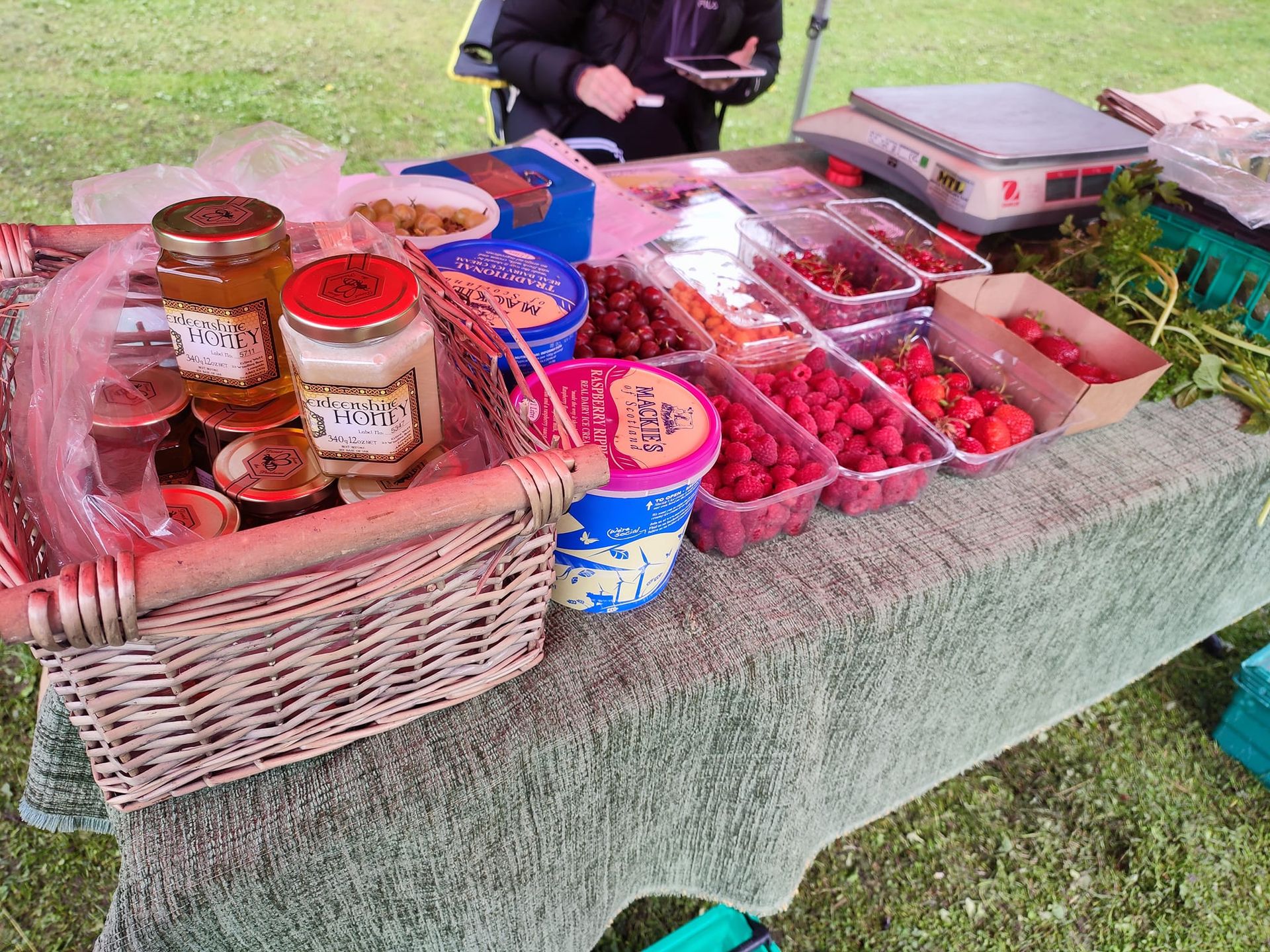 TAMS | Local Surplus Produce & Community Food Project in Aberdeen